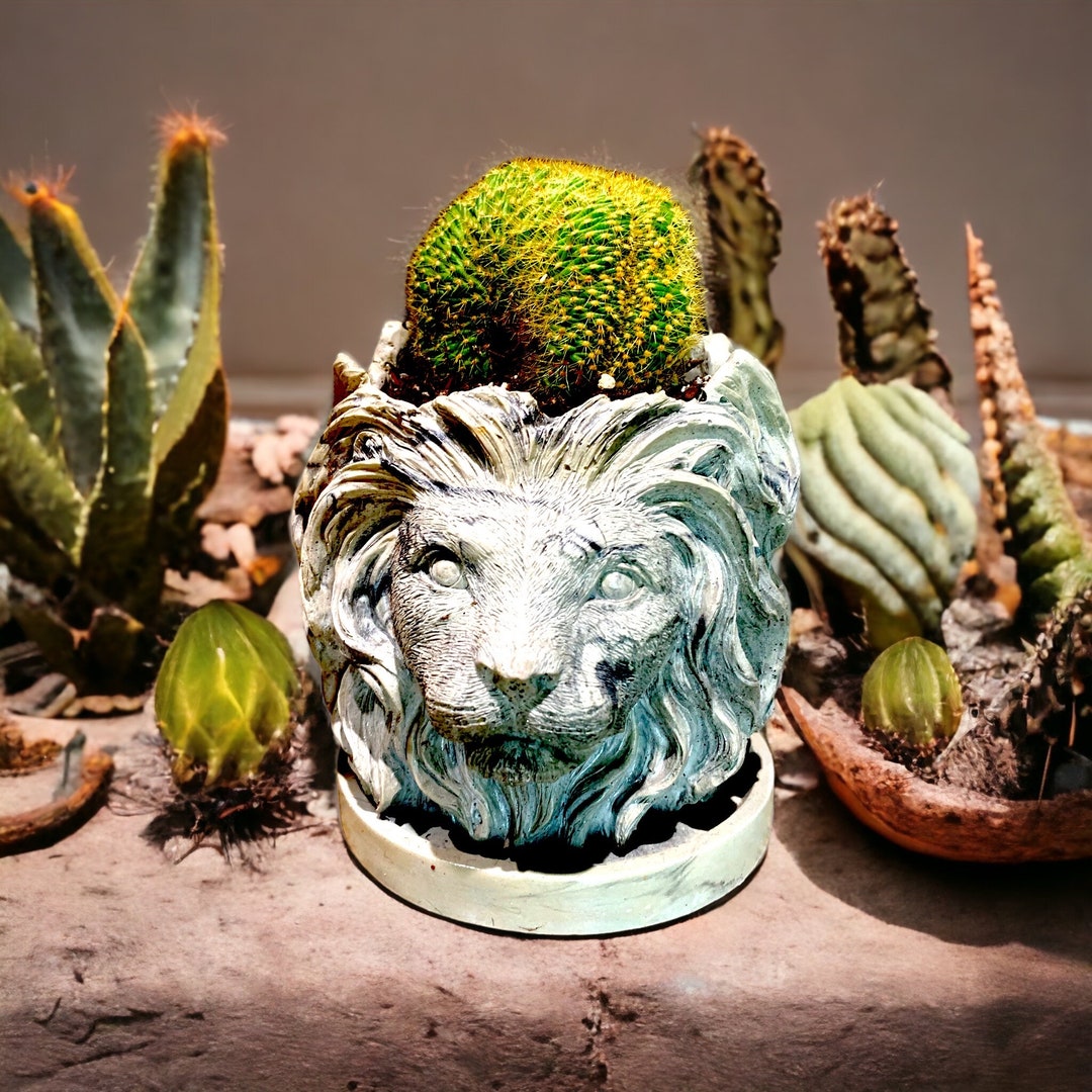 Handcrafted Concrete Lion Head Planter – Indoor/outdoor Pot, Lion Decor ...