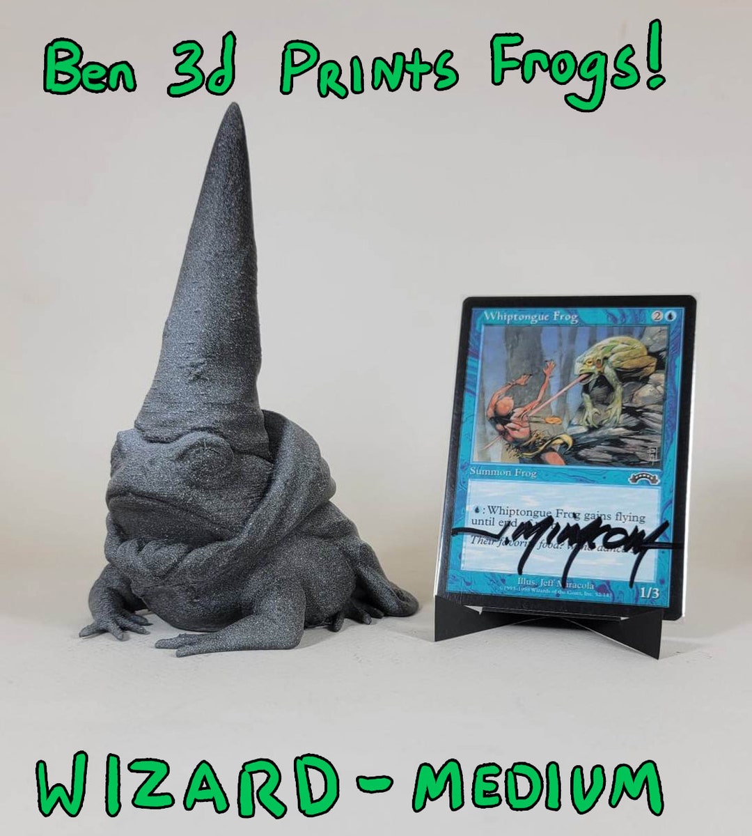 Wizard Toad Medium Etsy