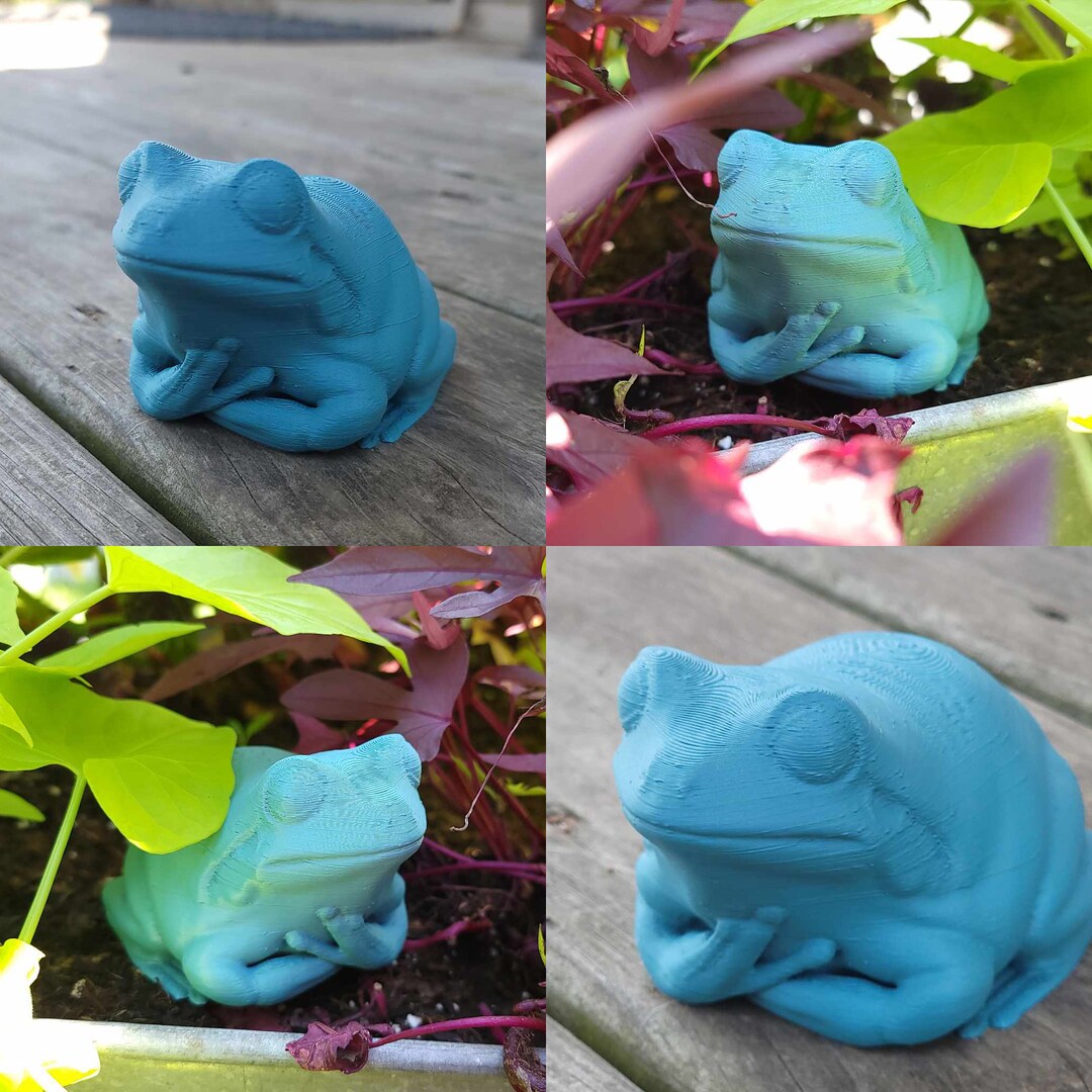 Very Polite Frog - Etsy