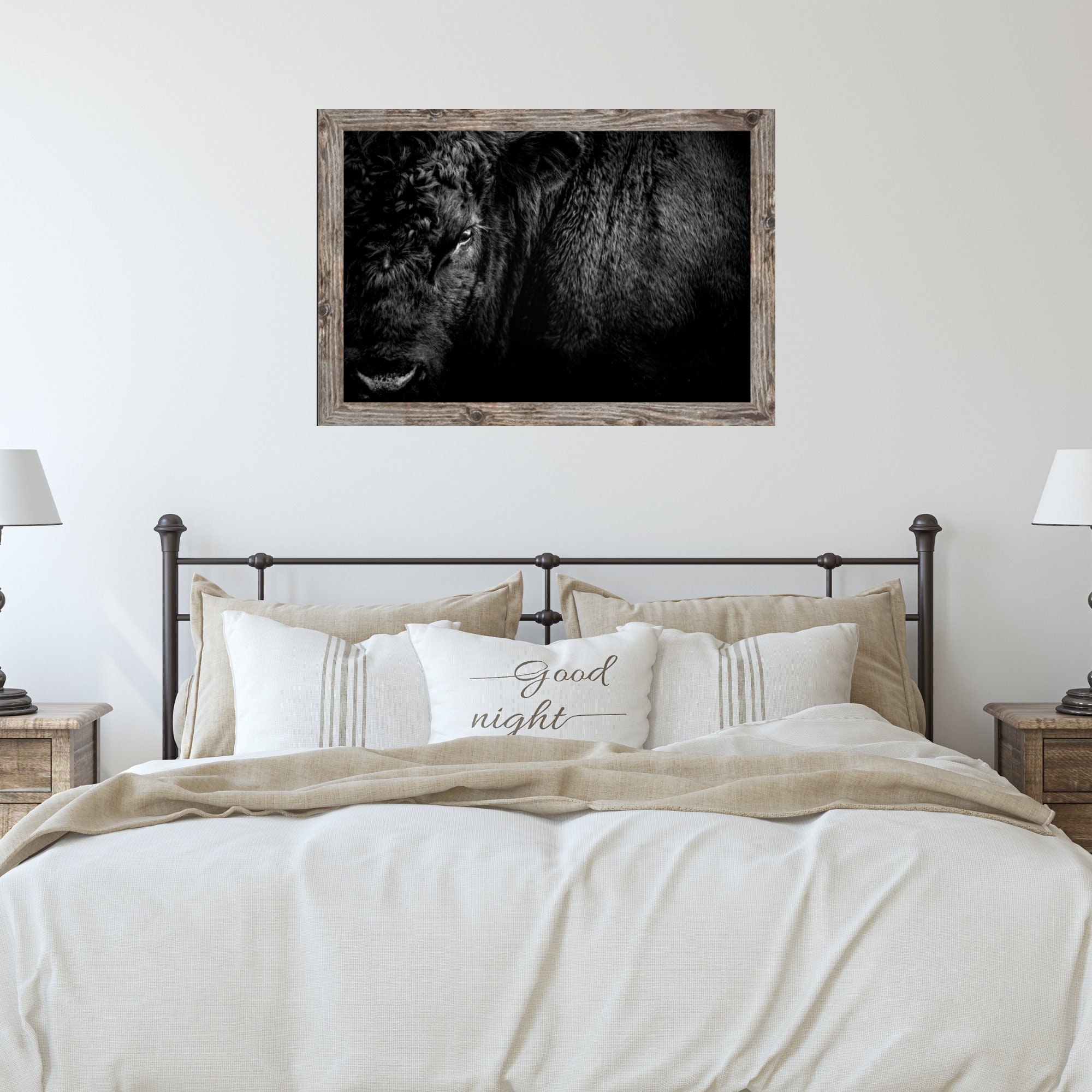 Black Angus Bull Picture, Bull Portrait, Framed Cow Picture, Beef Bull ...