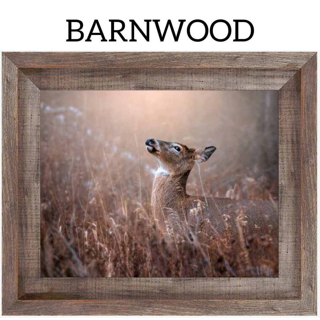 Whitetail Deer Print, Deer Smelling the Air, Winter Deer Photo - Etsy