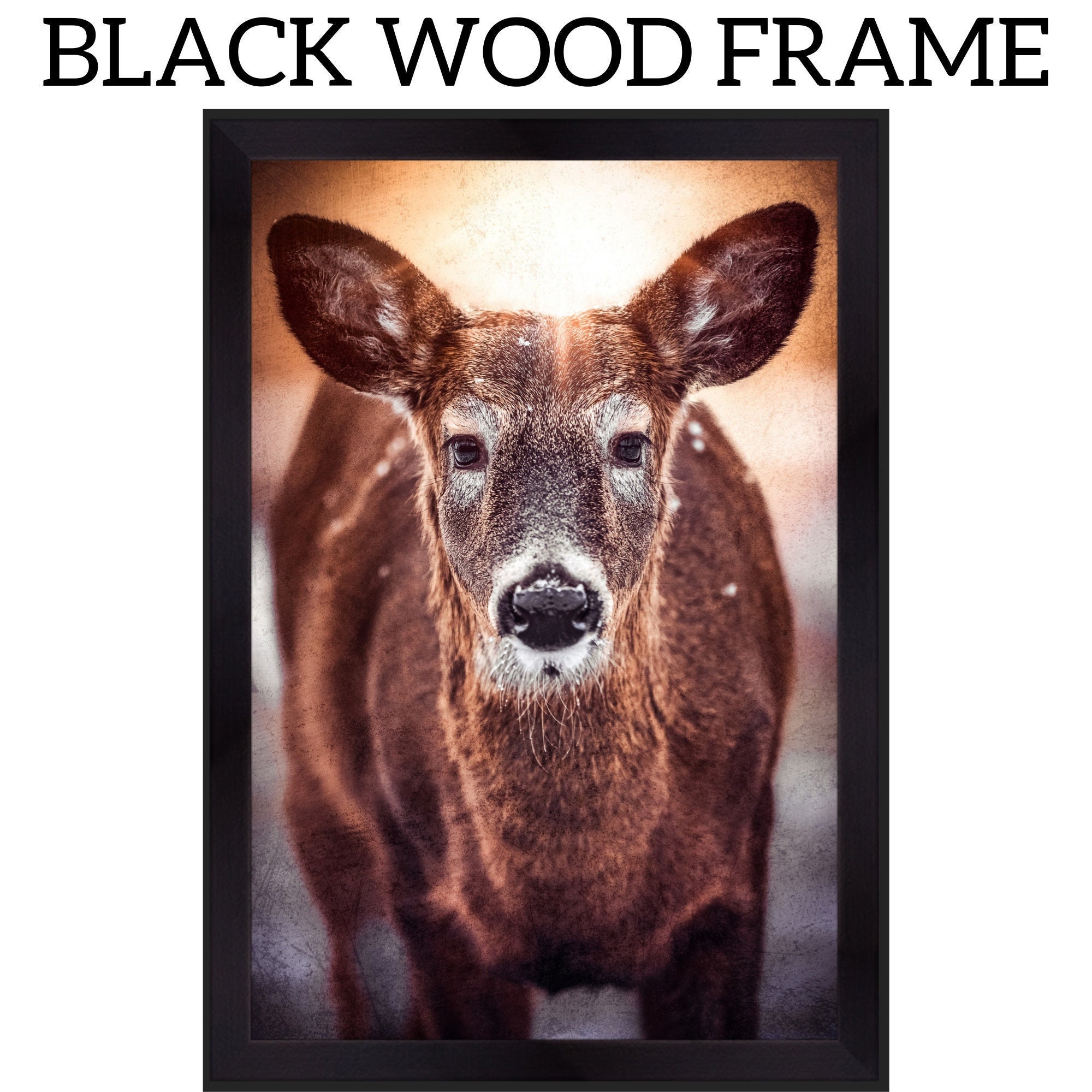 Whitetail Deer Portrait Buck Fawn Print Deer Picture Deer - Etsy