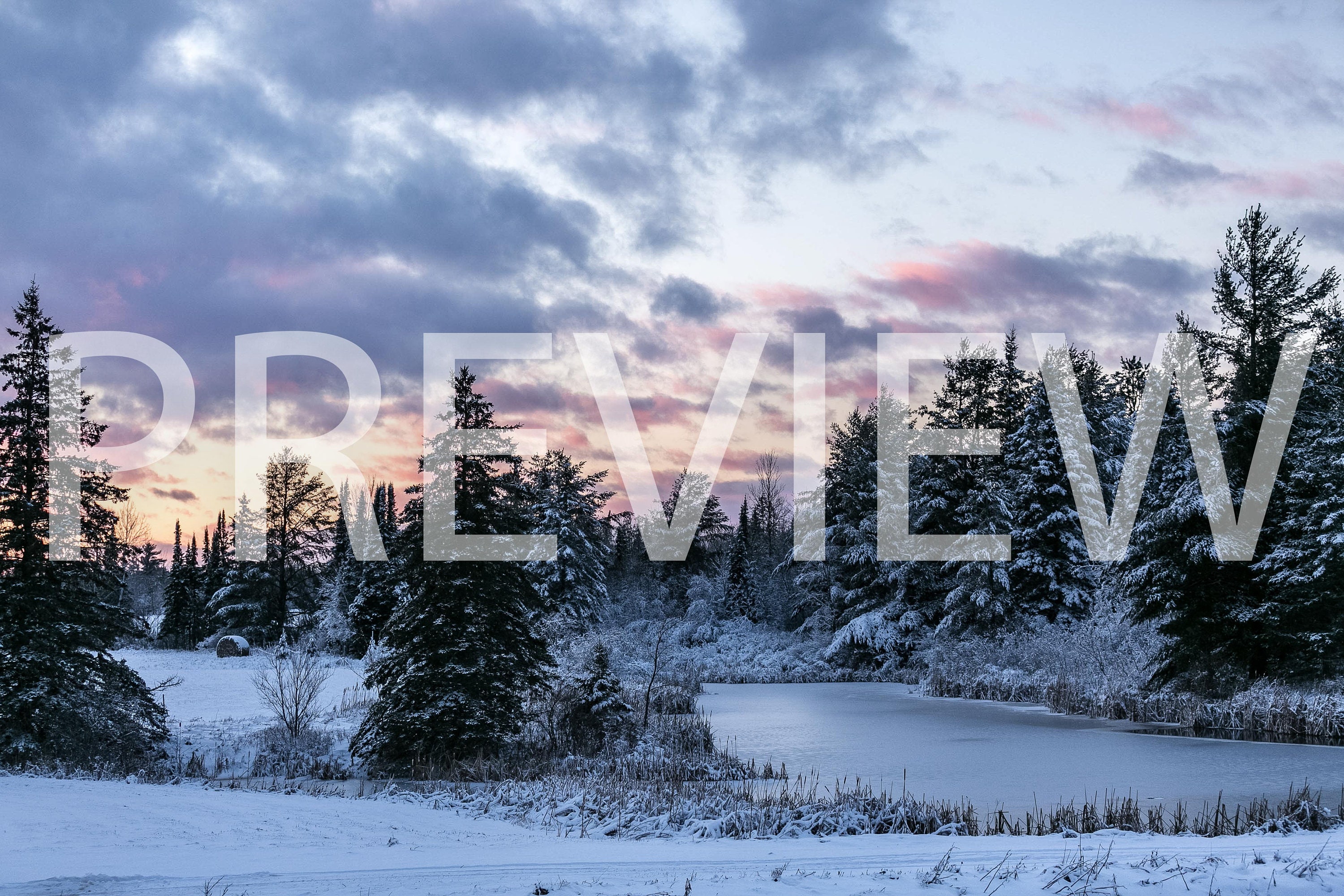 Beautiful Winter Nature Photography