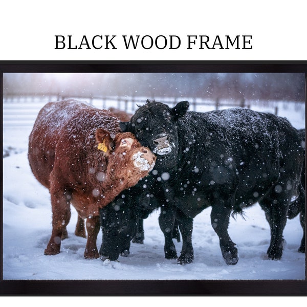 Black Angus - Etsy