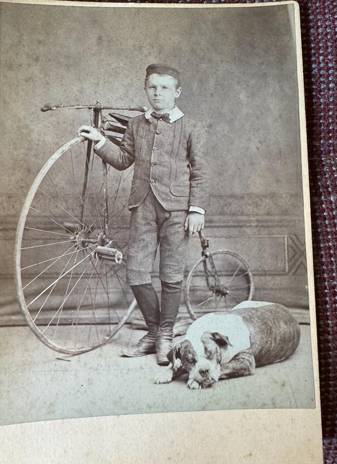 A Cabinet Card of a Boy in Knickers Standing by His Dog and Bicycle ...