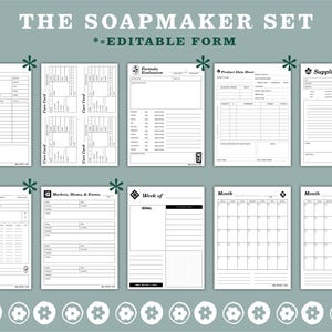 The Soapmaker Set - 10 Forms - Batch Record, Cure Cards, Formula Eval ...