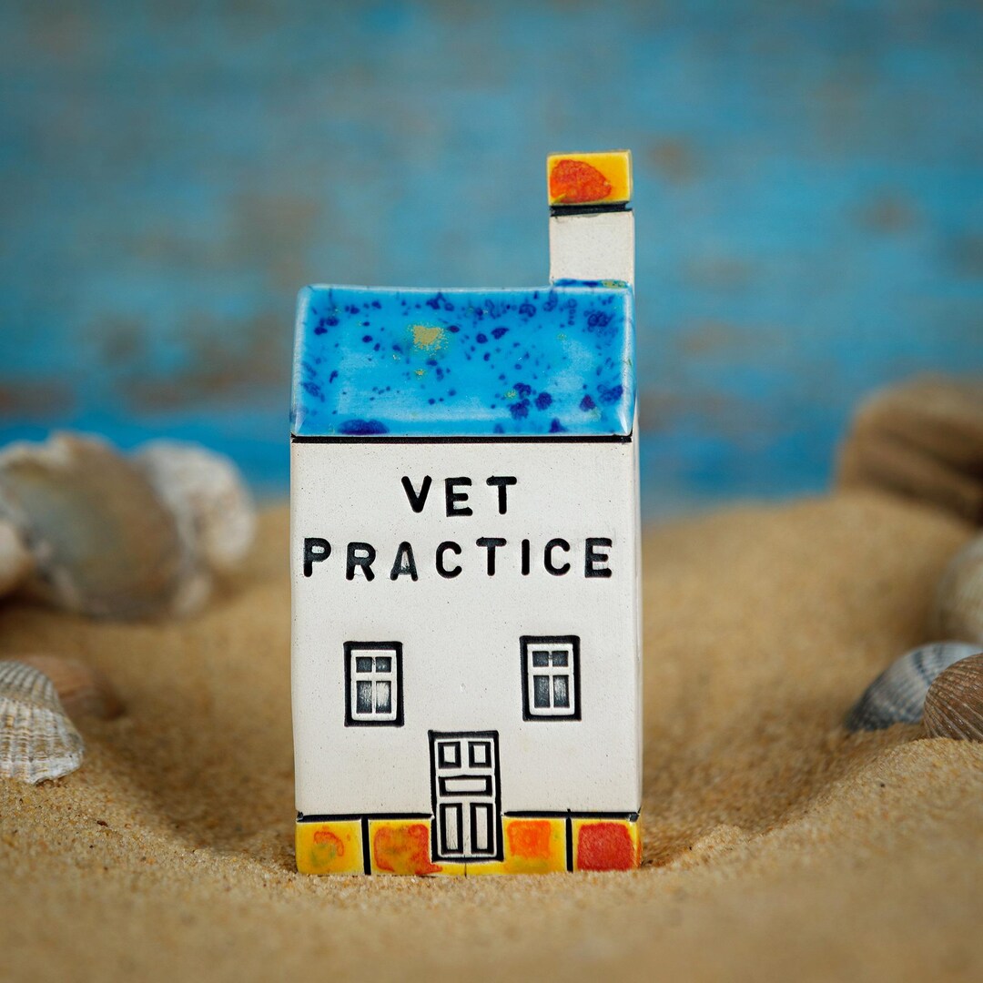 Vet Practice Ceramic House Handmade Pottery Gift for Vet Clinic Decor ...