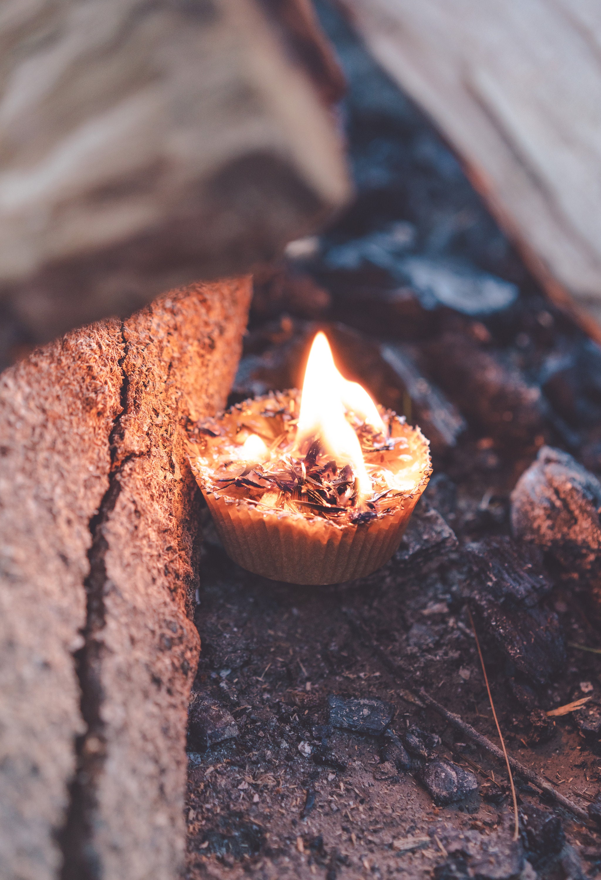 Citronella + Camphor Fire Starters (3-pack) Eco-friendly | Beeswax ...