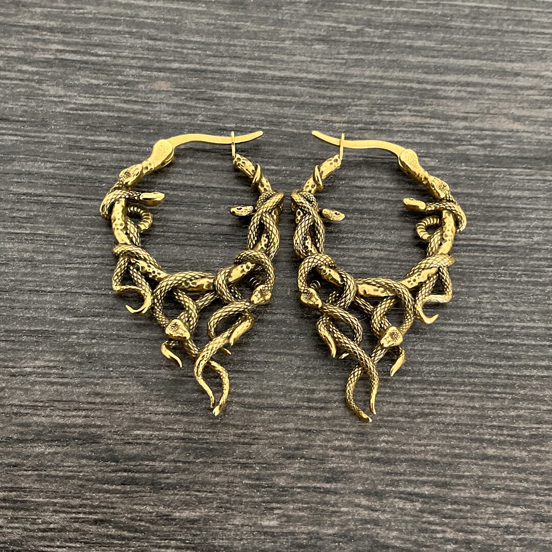 Snakes Wrapped Hoop Earrings, Gothic Serpent Hoops ,stainless Steel ...