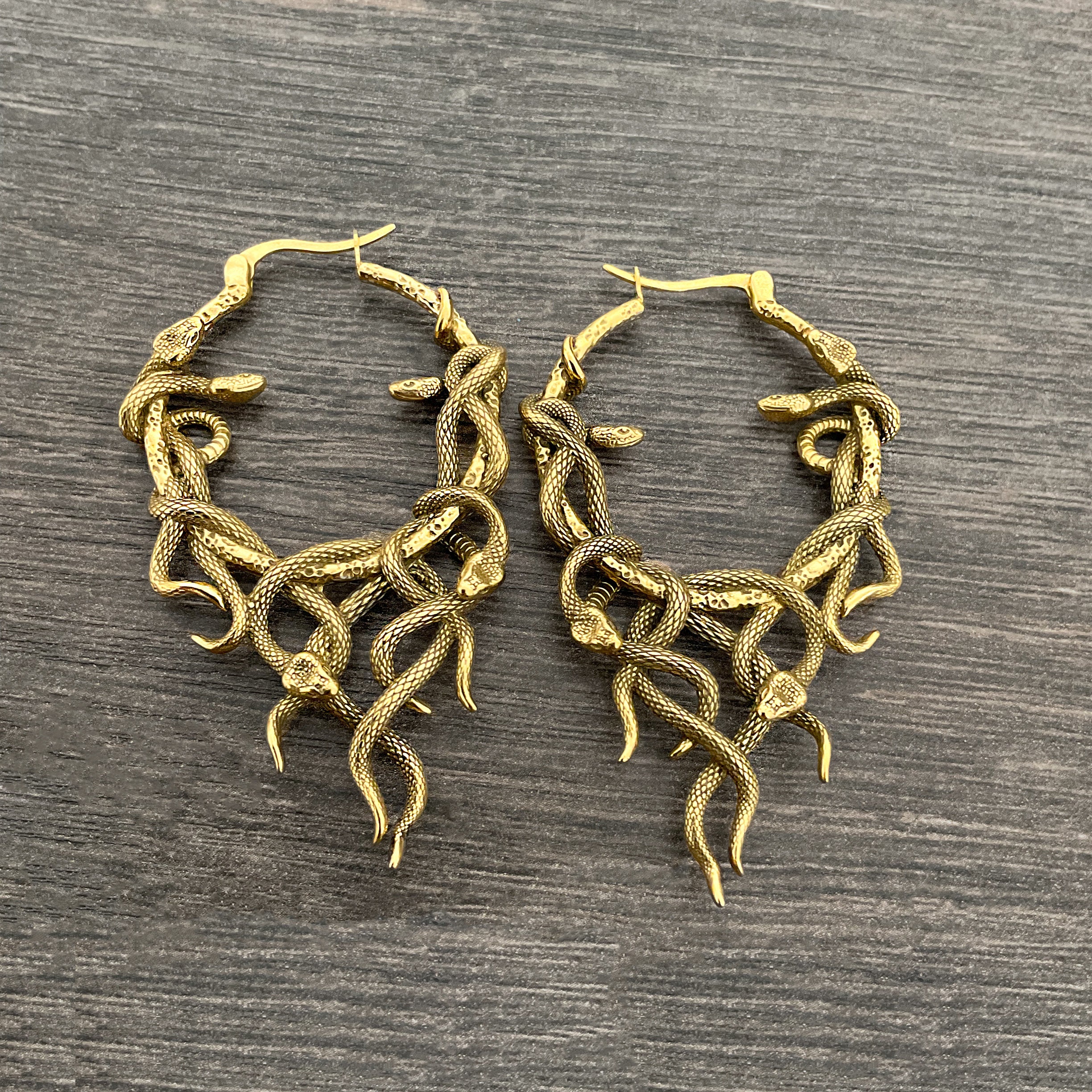 Large Snakes Wrapped Hoop Earrings, Snake Earrings, Serpent Hoops ...