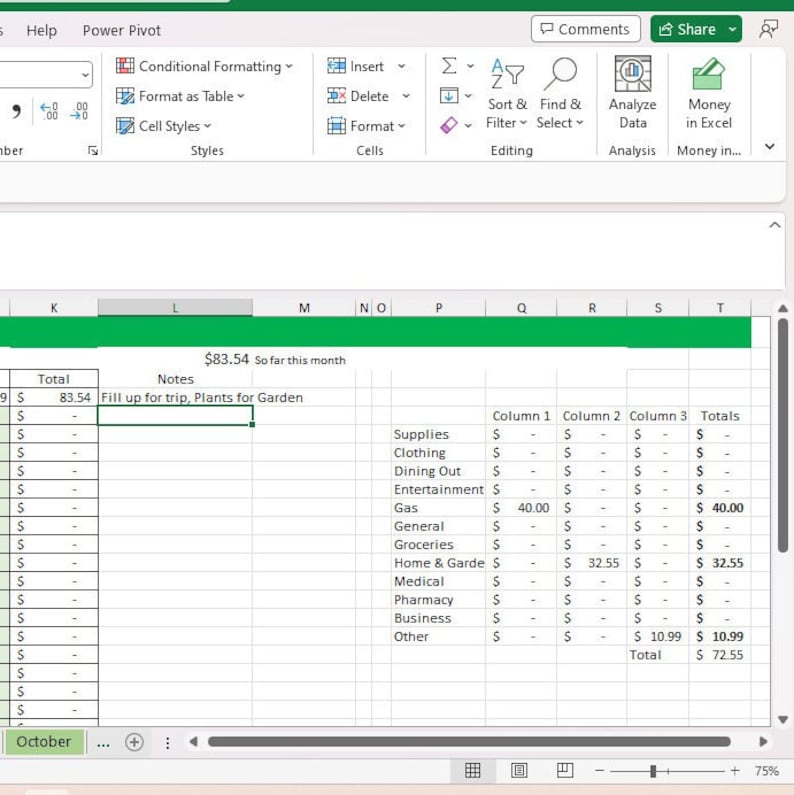 Daily Spending Log, Month by Month Workbook, Digital Download, Excel ...