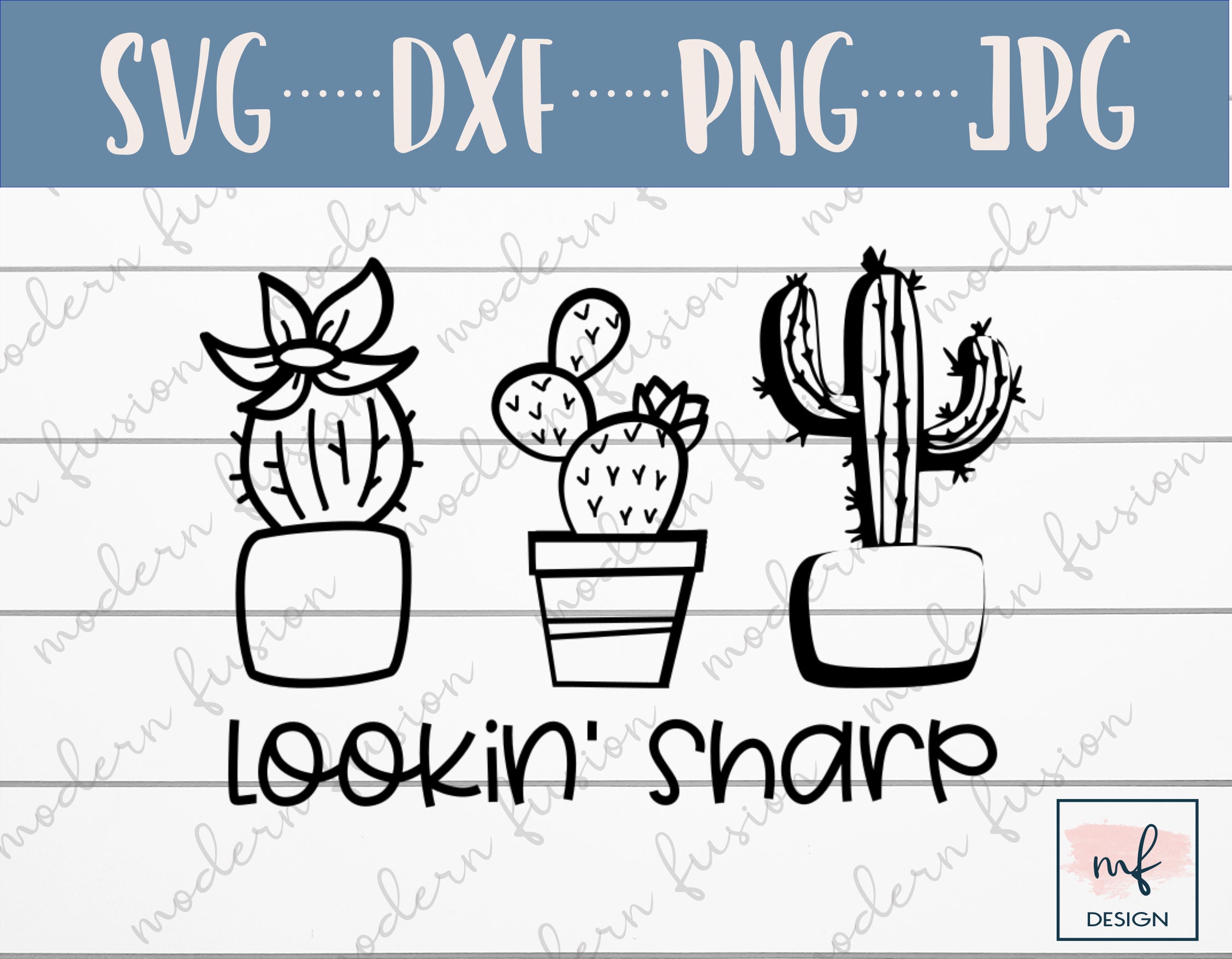 Lookin Sharp SVG SVG Files for Cricut Cactus Svg Cactus - Etsy