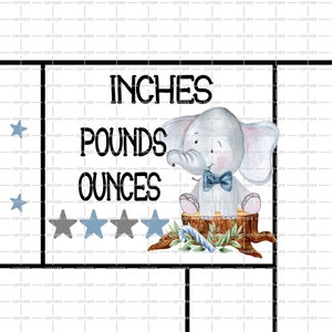 Boy Elephant Birth Stat Template Sublimation Design Elephant PNG DPI ...