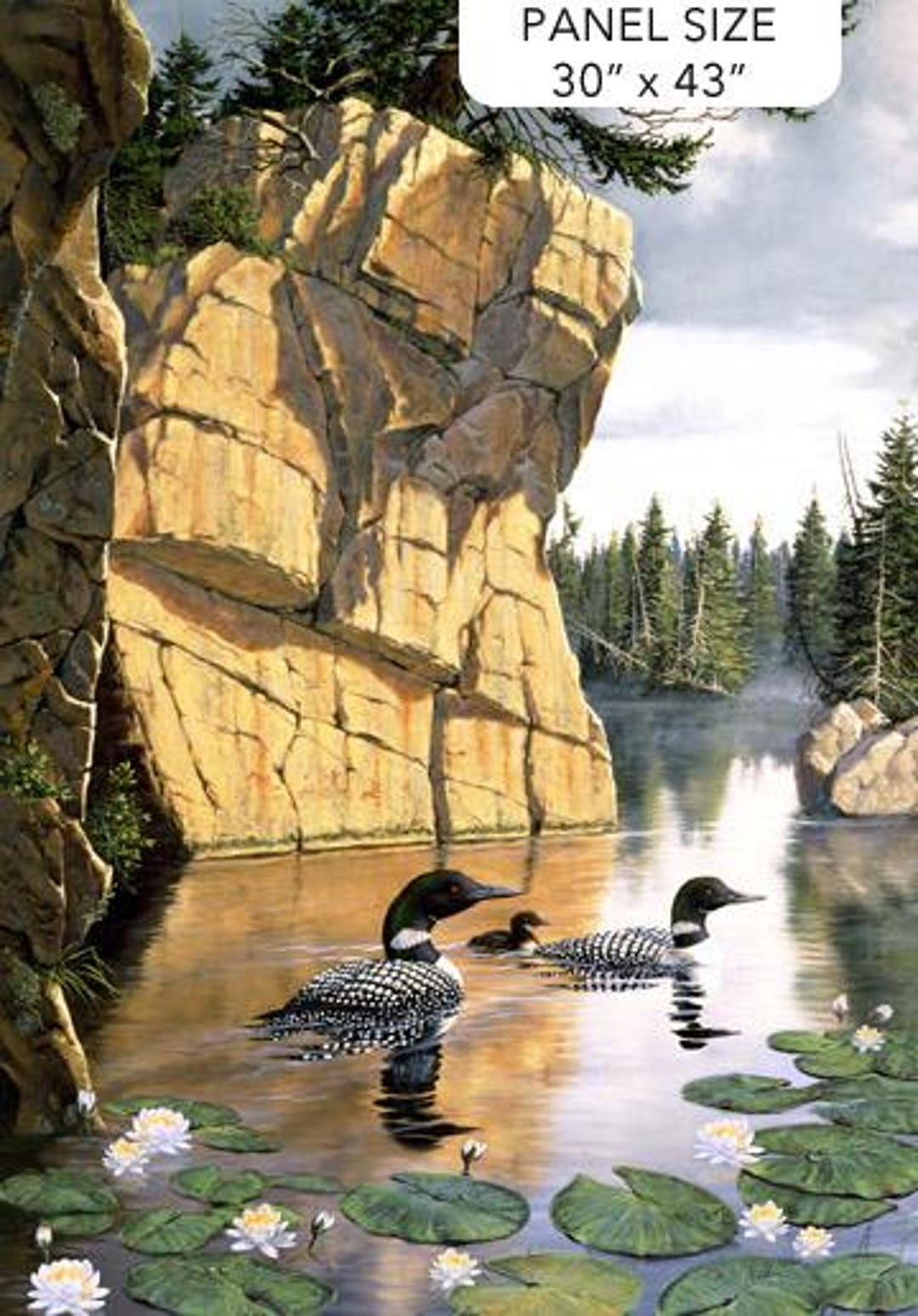 Beautiful Loons in Water With Lily Pads, Cliffs and Trees Panel 30x42 ...
