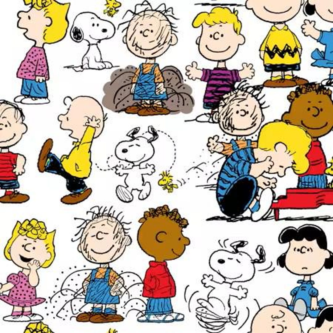 Peanuts Gang, Charlie Brown, Snoopy and More Licensed Character Cotton ...