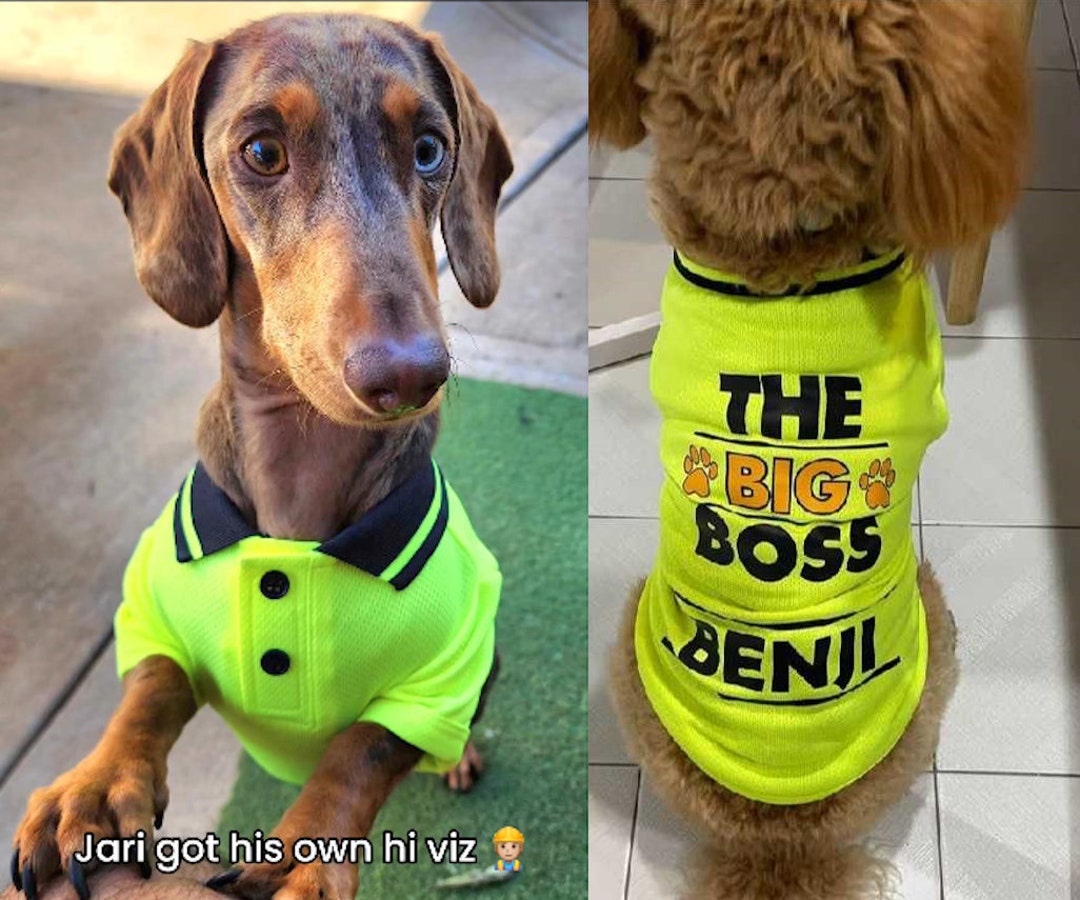 Dog Hi Vis Tradie Polo With Custom Print - Etsy