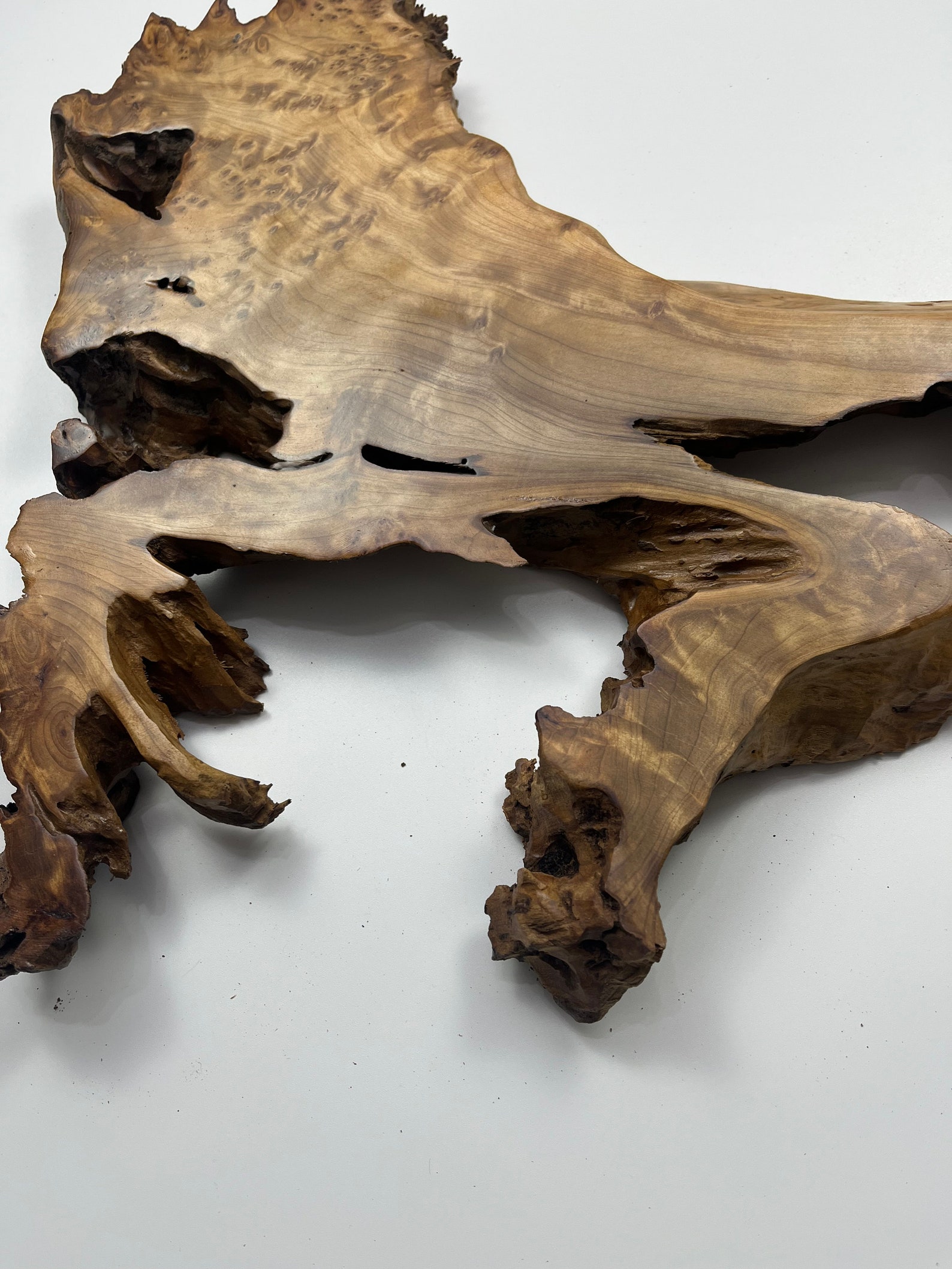 Wholesale Olive Live Edge Slab Live Edge Wood Olive Wood Slice Huge ...