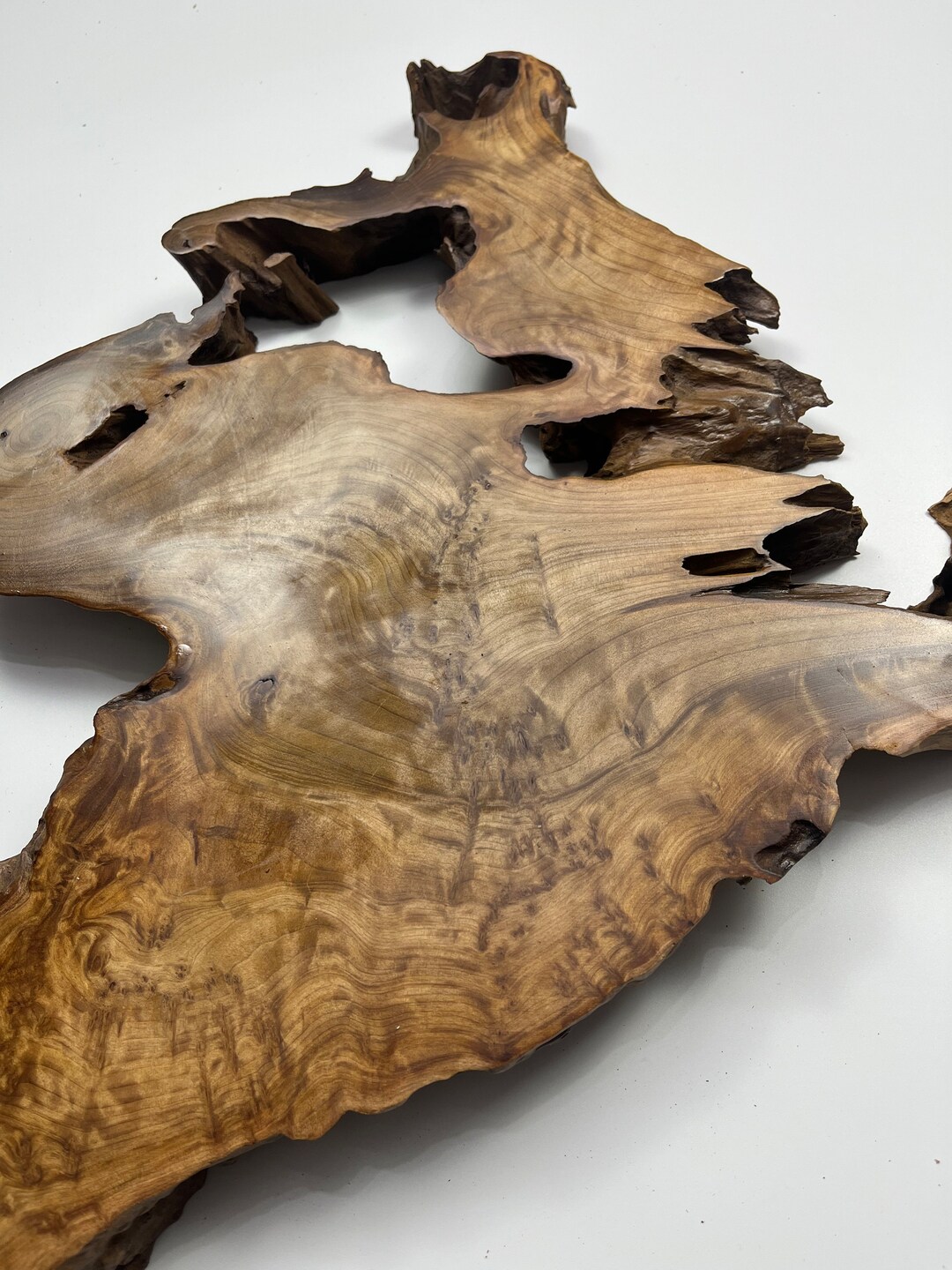 Raw Live Edge Wood Unique Olive Live Edge Wood Slab Live Edge Olive ...