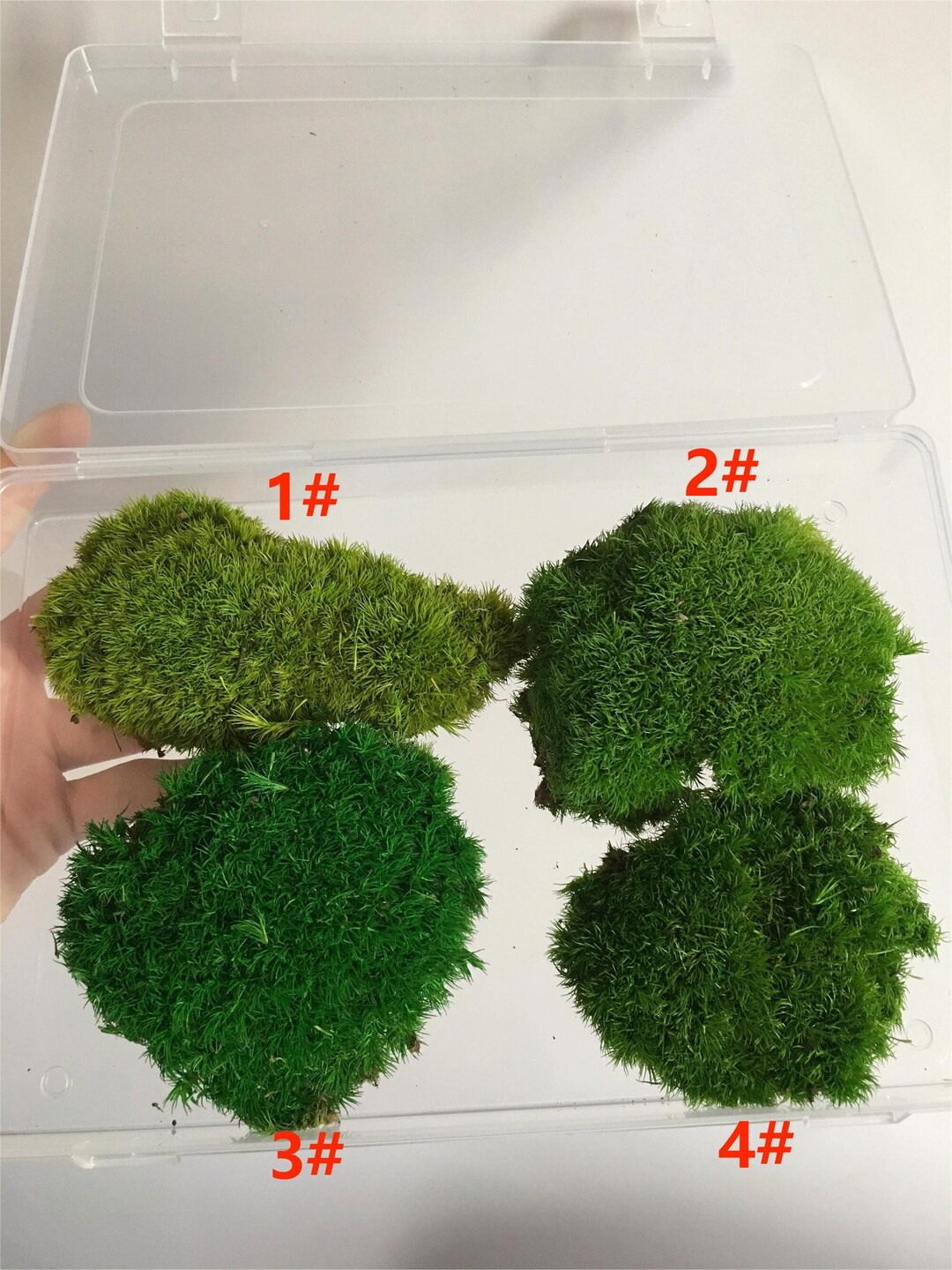 High Quality Pillow Moss, 4color DIY Moss Craft,moss Decoration,diy ...