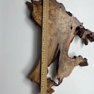 Wholesale Olive Live Edge Slab Live Edge Wood Olive Wood Slice Huge ...