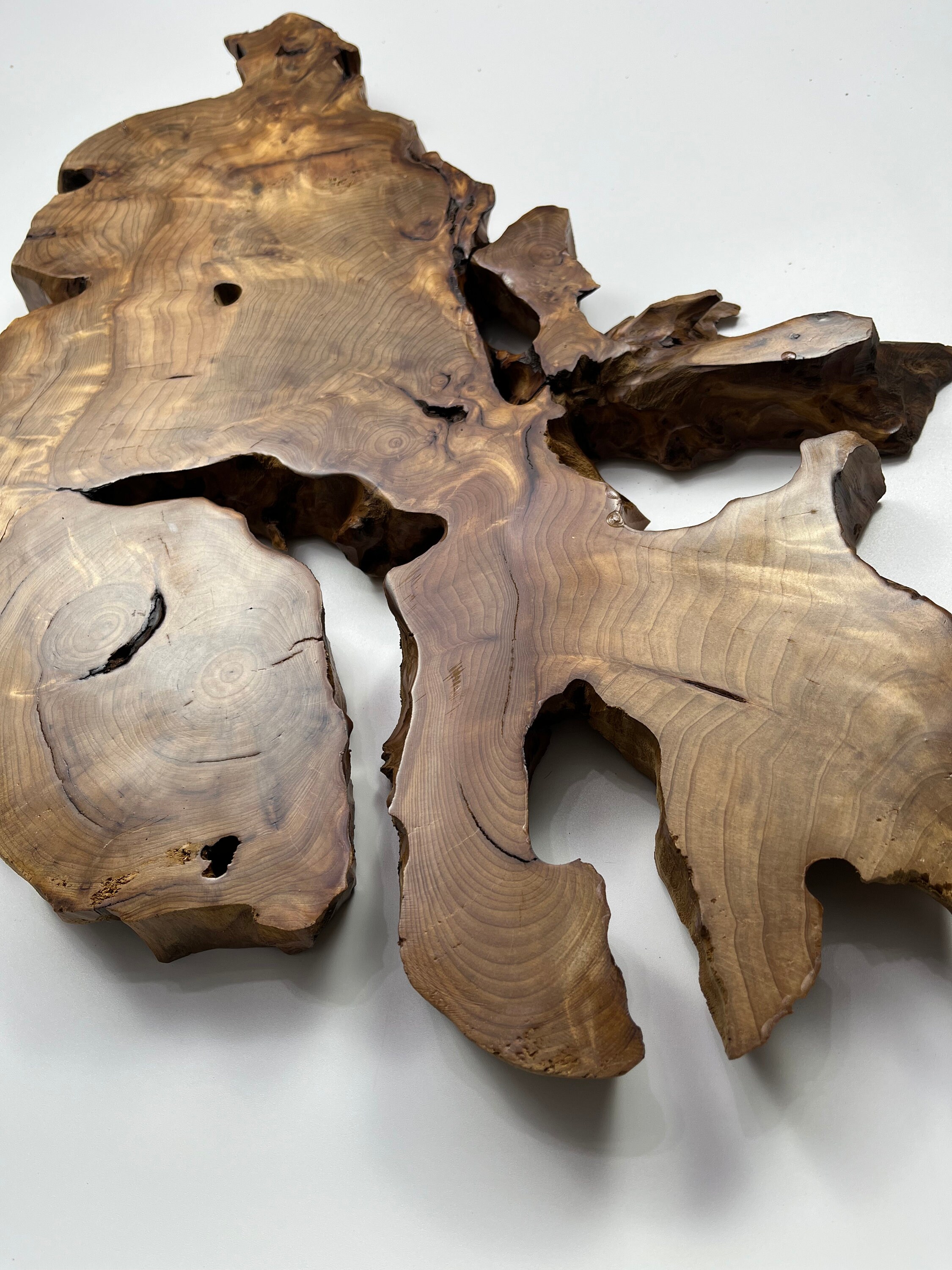 Wholesale Olive Live Edge Slab Live Edge Wood Olive Wood Slice Huge ...