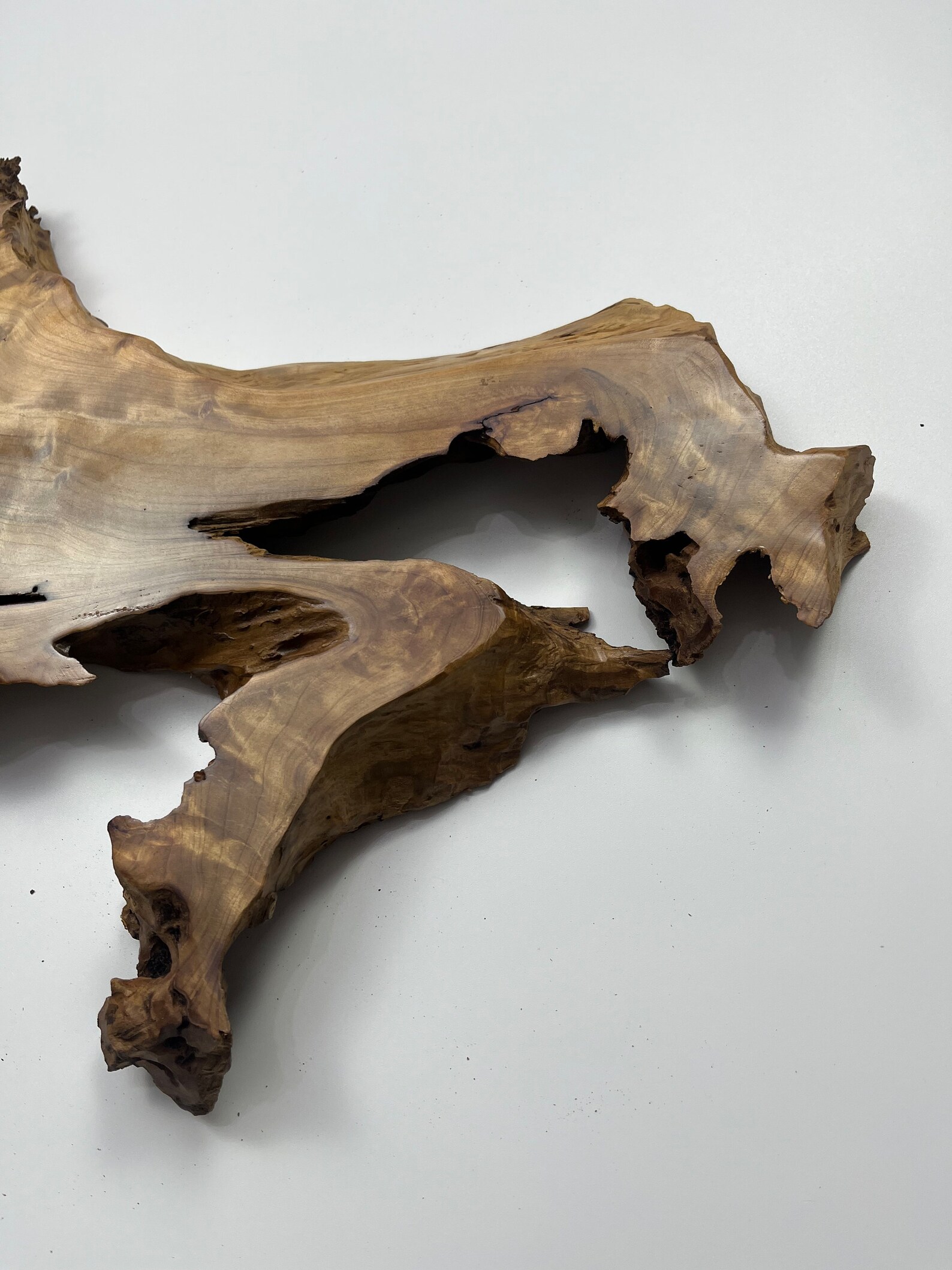 Wholesale Olive Live Edge Slab Live Edge Wood Olive Wood Slice Huge ...