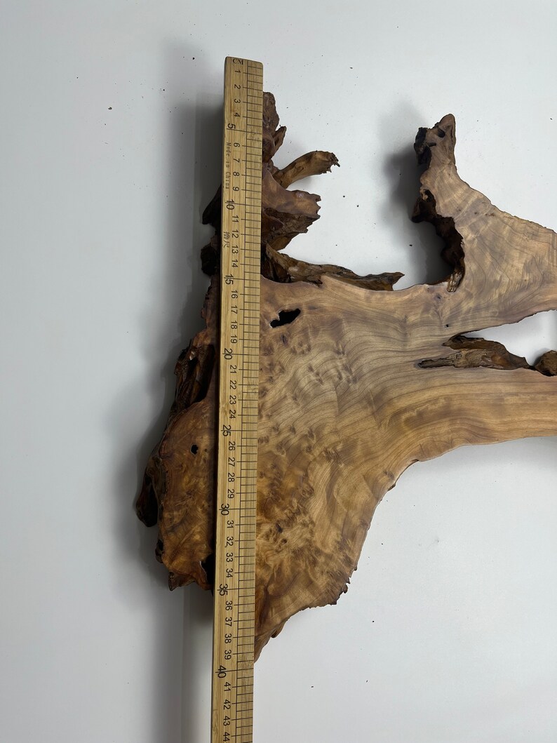 Wholesale Olive Live Edge Slab Live Edge Wood Olive Wood Slice Huge ...