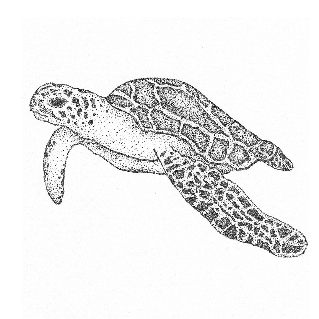 Sea Turtle Print Pointillism Animal Animal Art Amniotes Pen Drawing ...