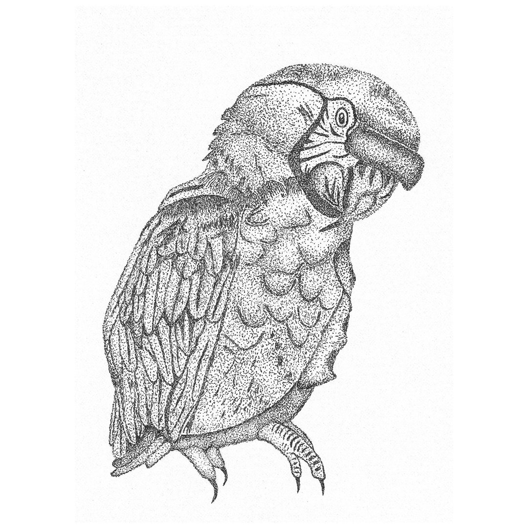 Parrot Print Pointillism Animal Animal Art Birds Pen - Etsy