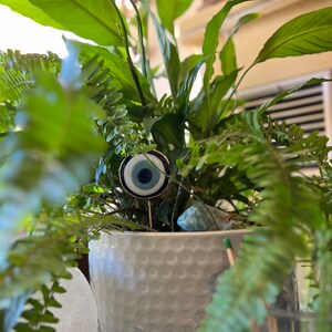 Fused/soldered Glass Evil Eye Plant Stakes - Etsy