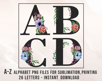 Lady Bug Themed Alphabet Clip Art PNG Files Bulletin Board - Etsy