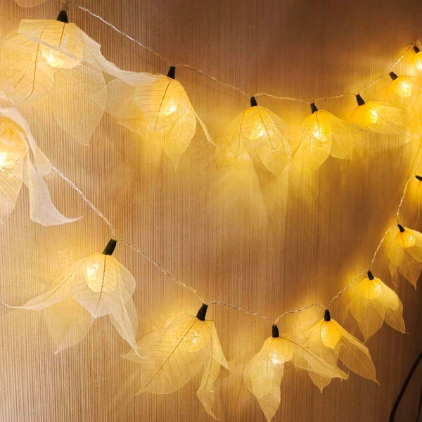 Indoor String Lights - Etsy