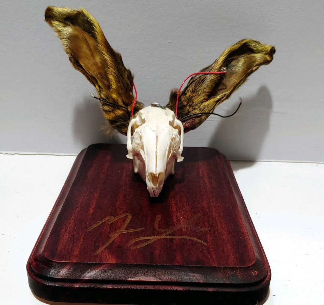 Autographed Taxidermy: Signed Matthew Lillard Spring Trap - Etsy