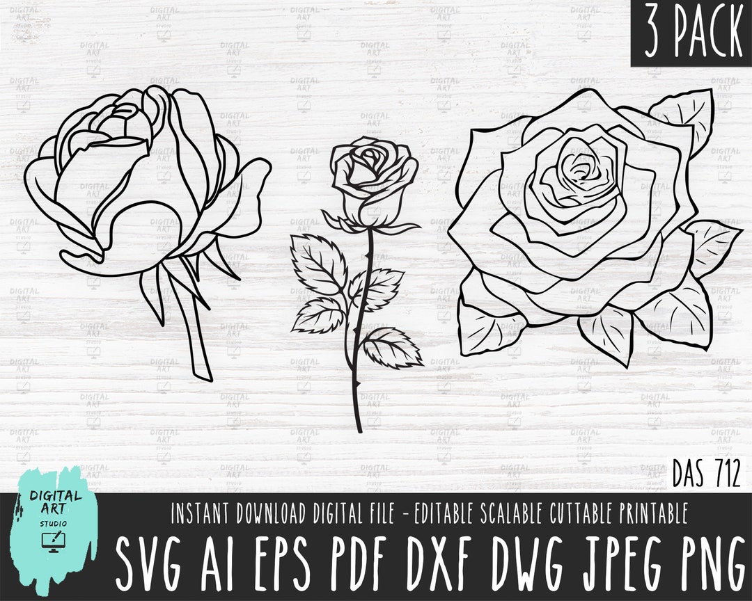 3 ROSES Svg, ROSE Illustration, Rose Flower Vector File, Rose Cricut ...