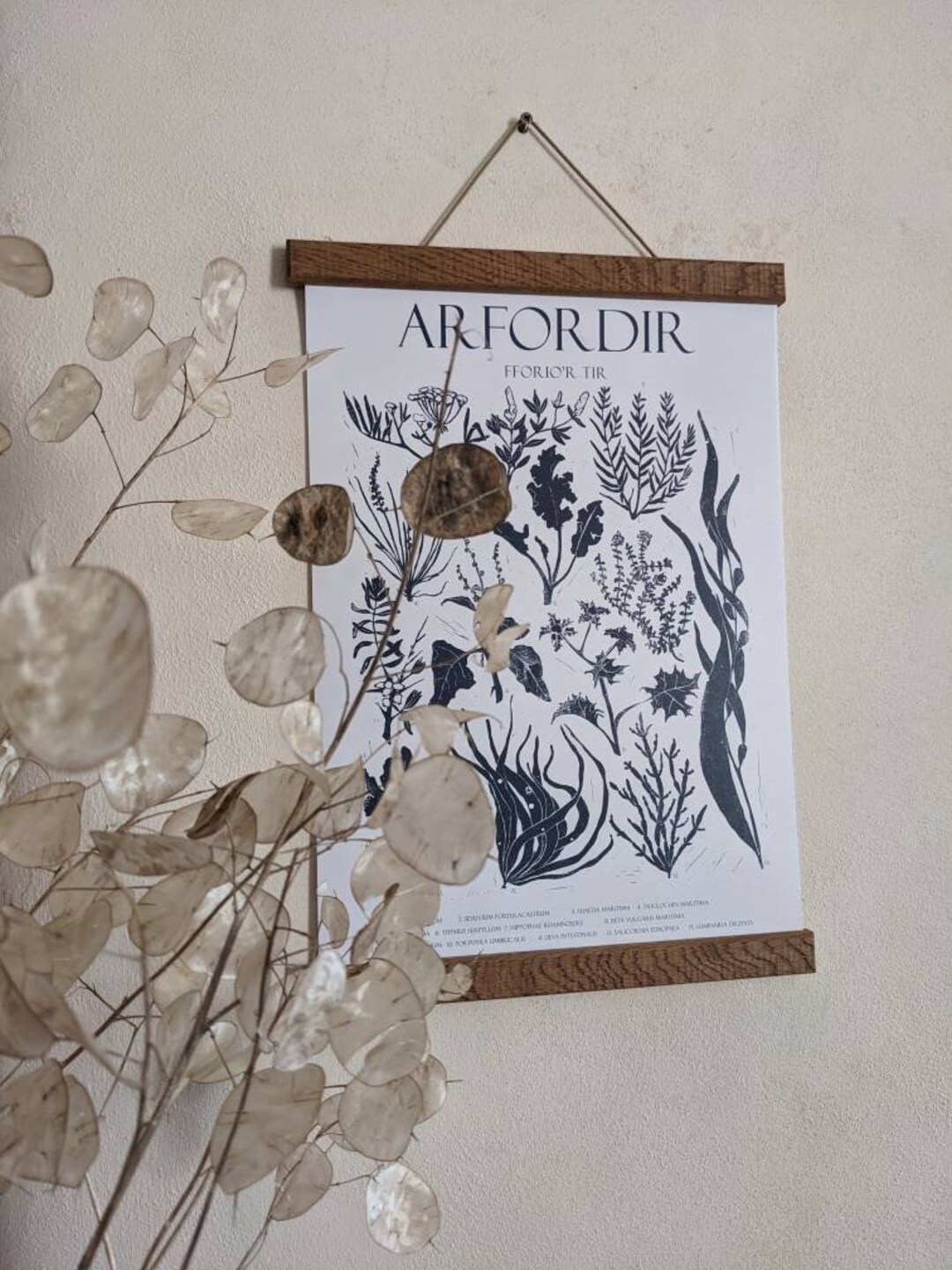 Forager's Poster, Coastal Species 30 X 42 Cm. English or Cymraeg. Print ...