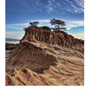 Torrey Pines Poster, San Diego Poster, Torrey Pines Decor, Travel ...