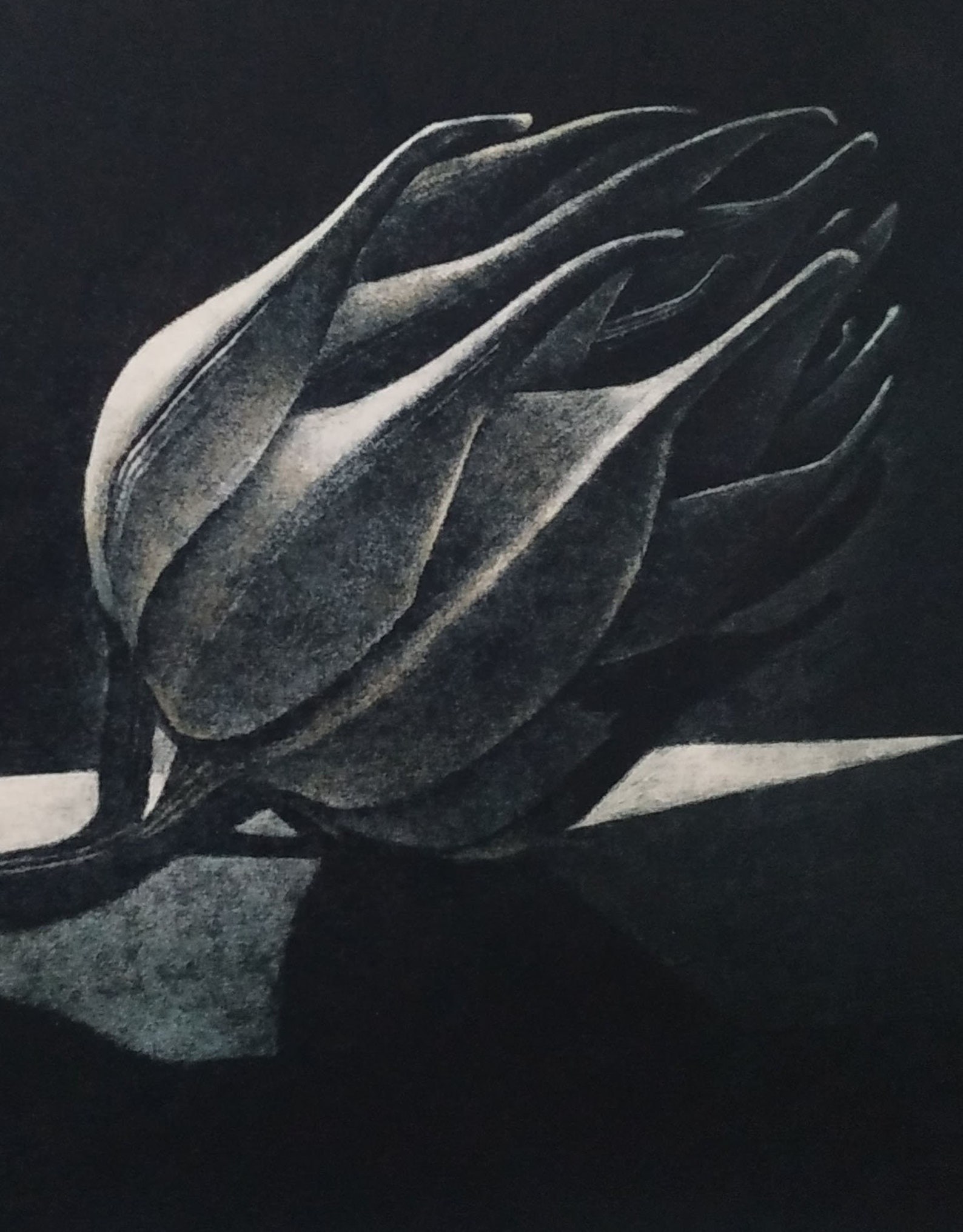 Original Etching Original Print Mezzotint Etching Nature - Etsy