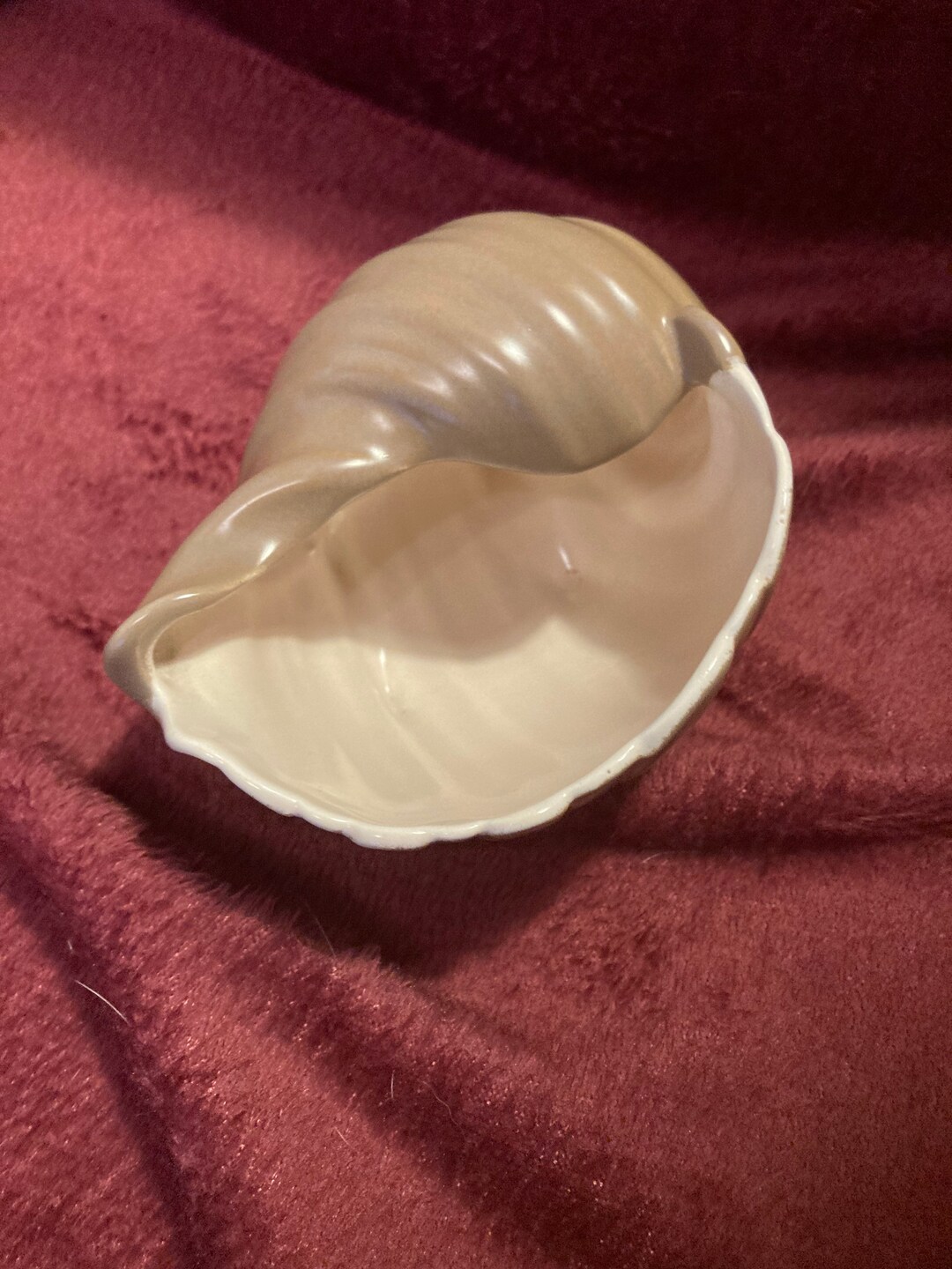 Poole Pottery Conch Shell - Etsy