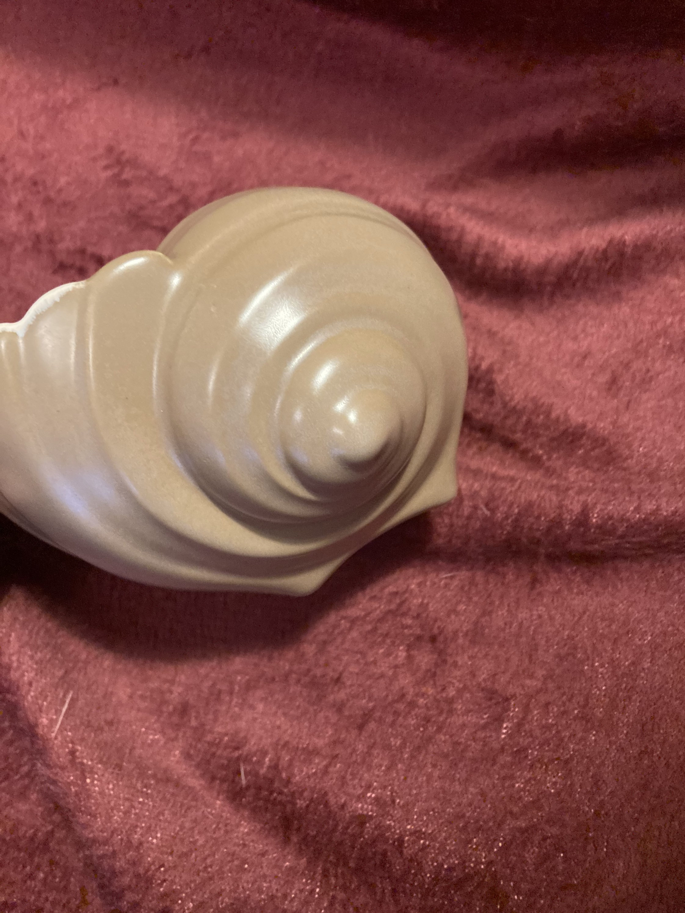 Poole Pottery Conch Shell - Etsy