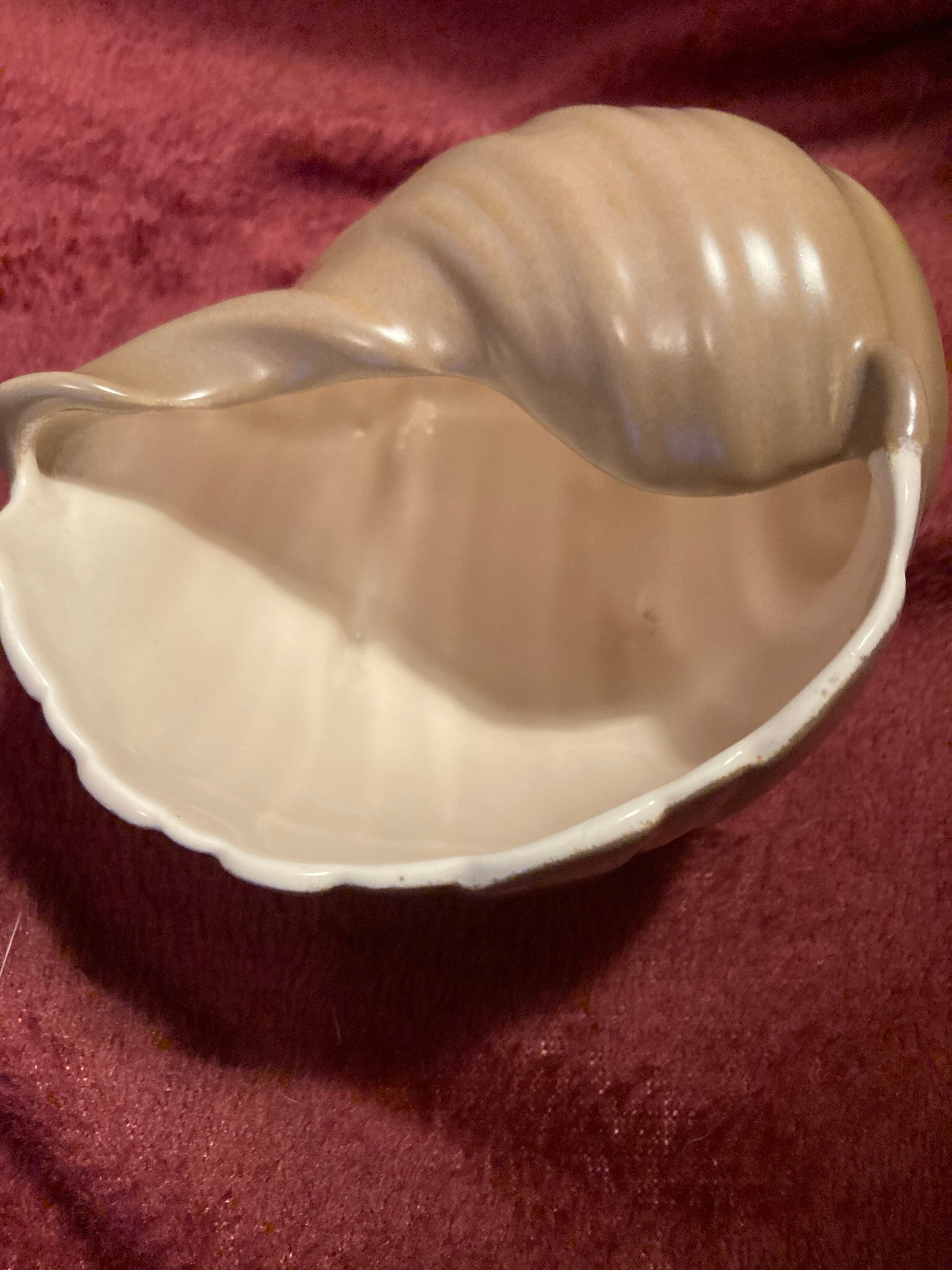 Poole Pottery Conch Shell - Etsy