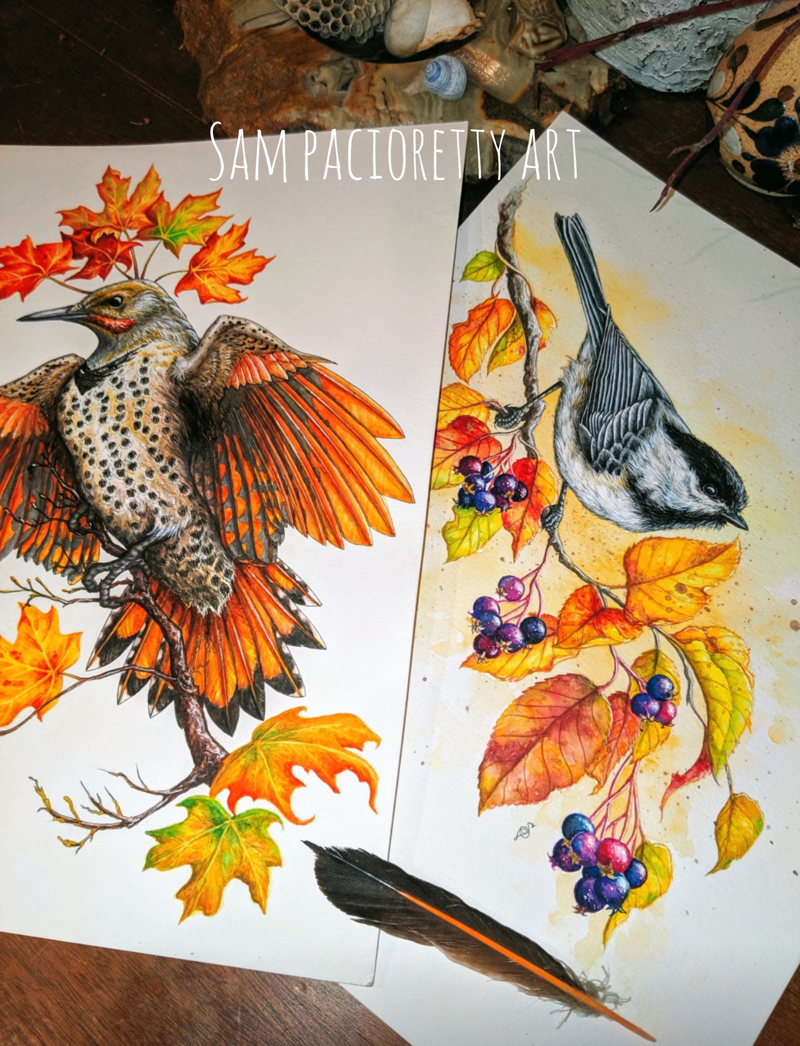 Autumn Chickadee, Fall Leaves, Native Chokecherry Tree, Bird and ...
