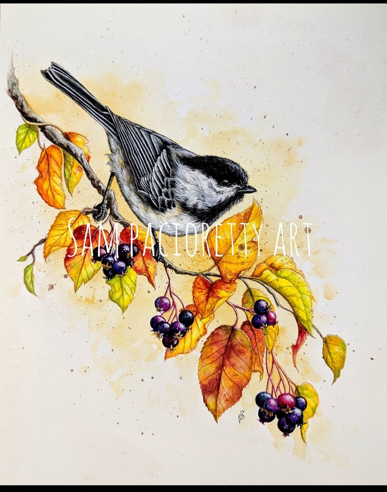 Autumn Chickadee, Fall Leaves, Native Chokecherry Tree, Bird and ...