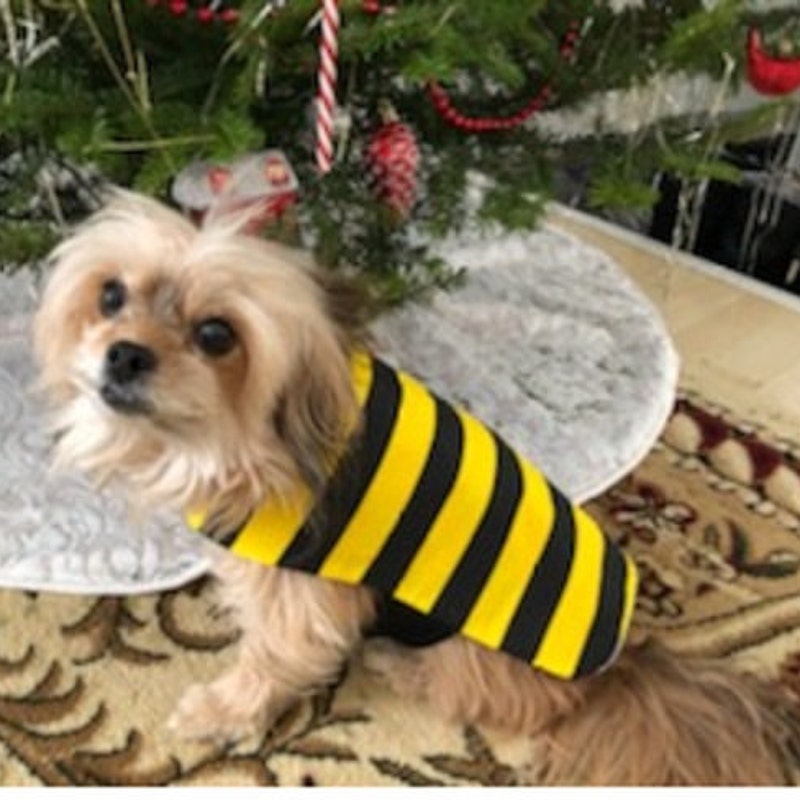 Dog Bee Costumes - Etsy