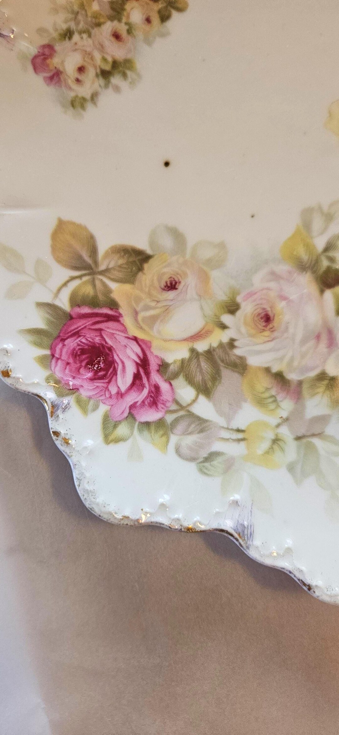 RC Rosenthal Malmaison Roses Scalloped Plate, Bavaria - Etsy