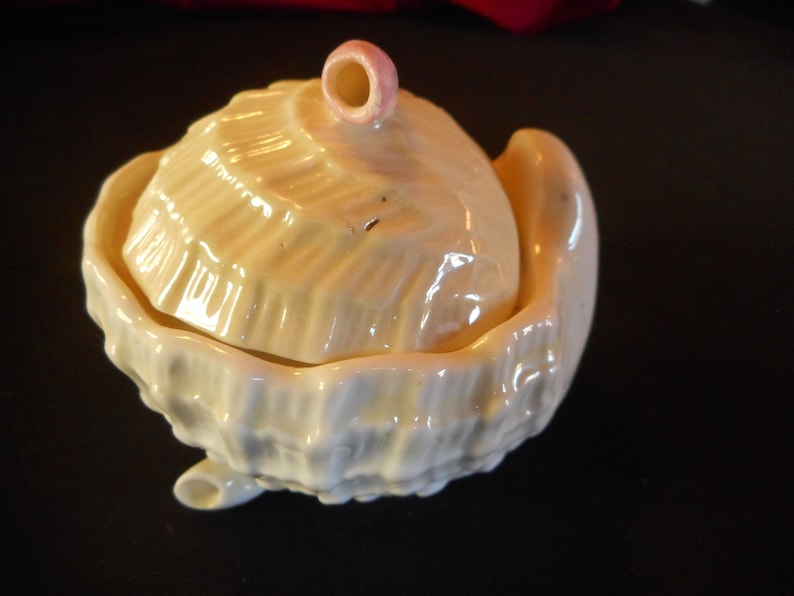 Antique Souvenier Shell Trinket Dish From Springfield MA Made - Etsy