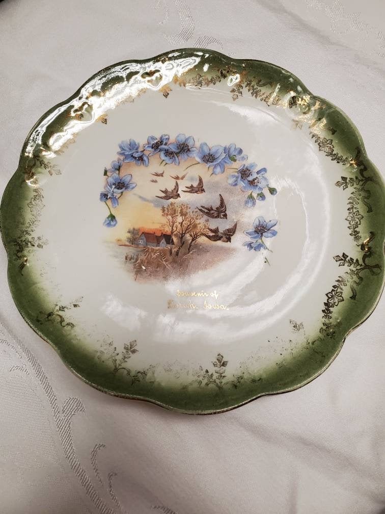 Souvenirs & Events Beautiful Historic Iowa Plate Swallow Birds Iowa ...