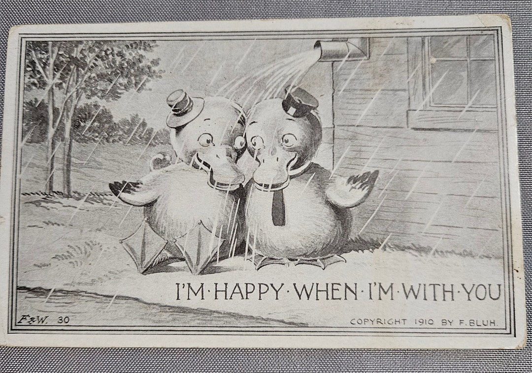 Antique Love Postcard, 1910, Two Ducks, F. Blum Artist - Etsy