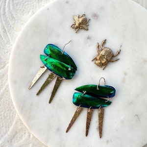 Jewel Beetle Wing Long Iridescent Insect Earrings / 14K SOLID Gold ...