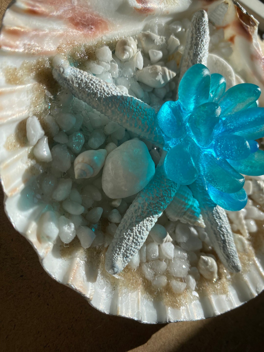 Resin Art/coastal Cactus/glass Cactus/resin Ocean/scallop - Etsy
