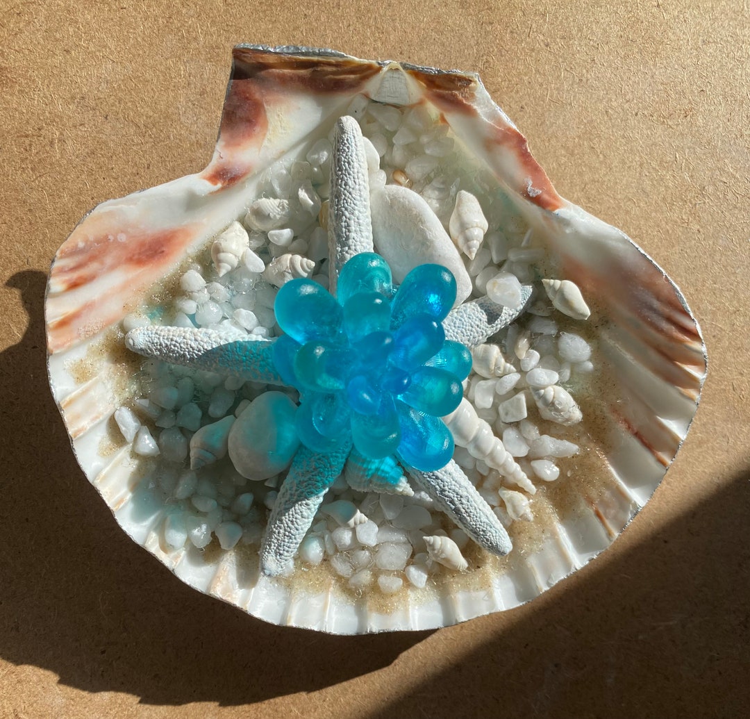Resin Art/coastal Cactus/glass Cactus/resin Ocean/scallop Shell/coastal ...